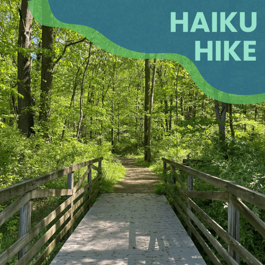 haiku poem – The Wilderness Center